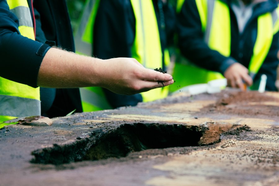 Timber Technology Engineering Design (TED) Short Courses