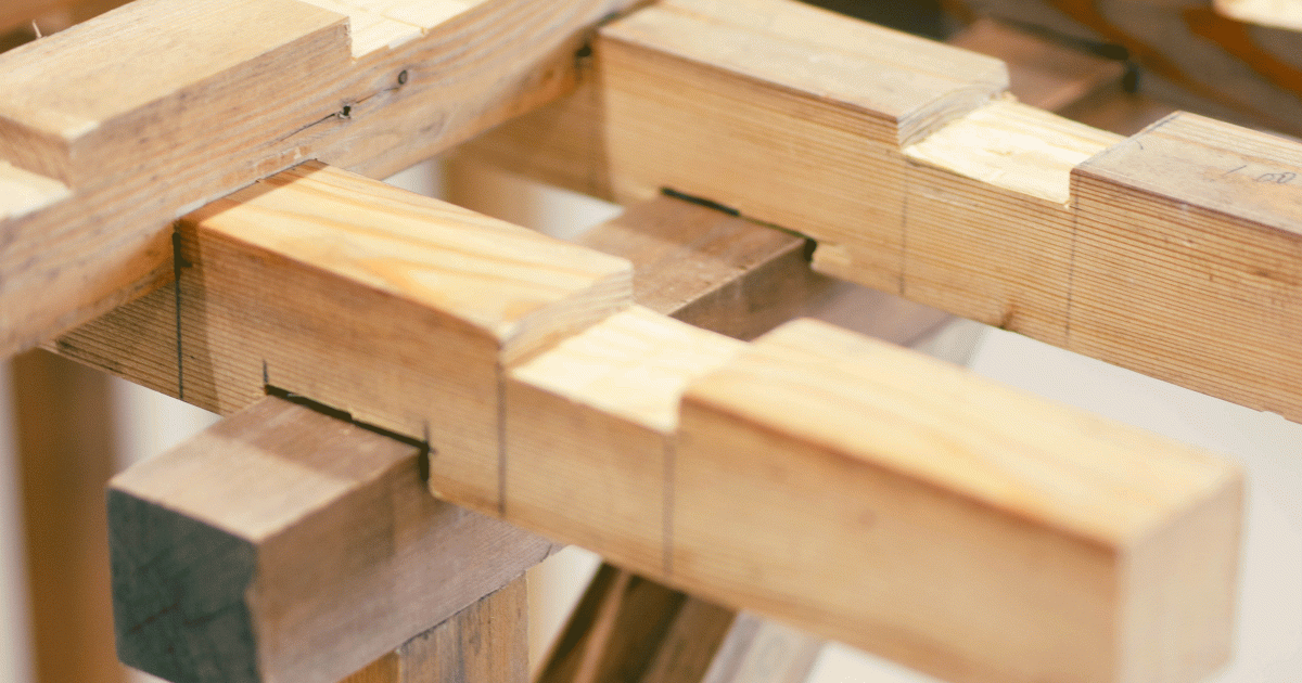 Timber Materials: From Source to Building Solutions (TED 1) | NMITE