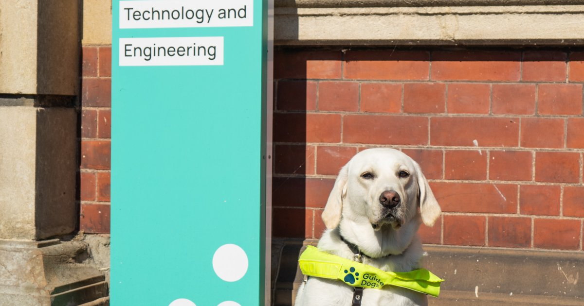 Meet Gemma: Life, Work, and Visual Impairment: World Sight Day 2025 ...